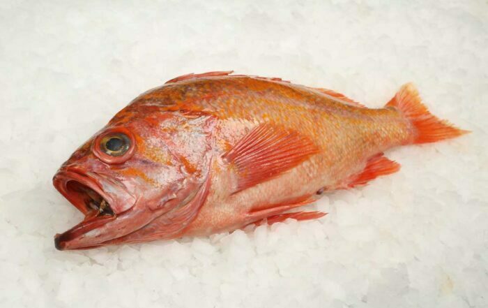 Pacific Rockfish | Canfisco Group